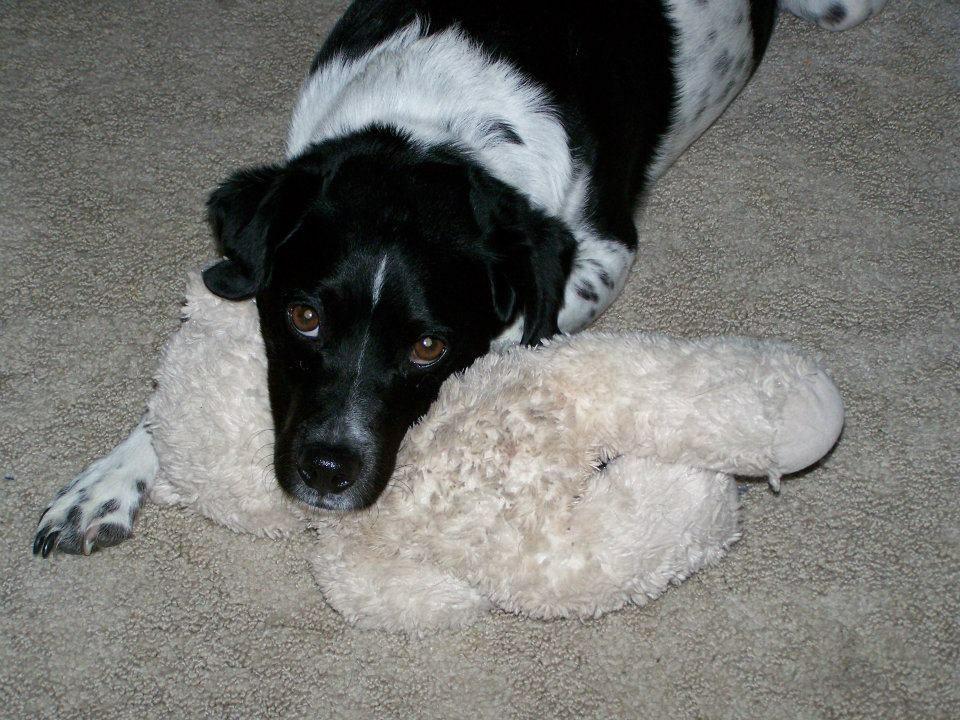 Just a boy and his bear | Scrolller