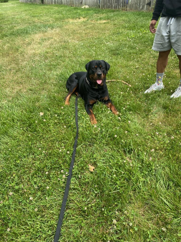 In his happy place | Scrolller