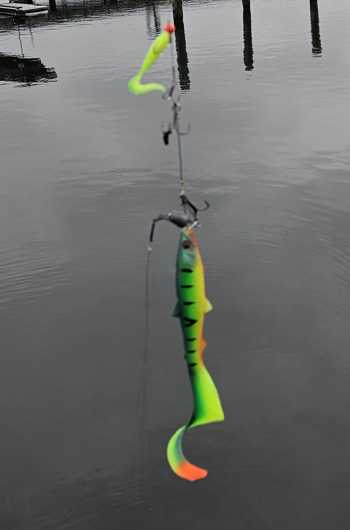 The curse has been lifted | Scrolller