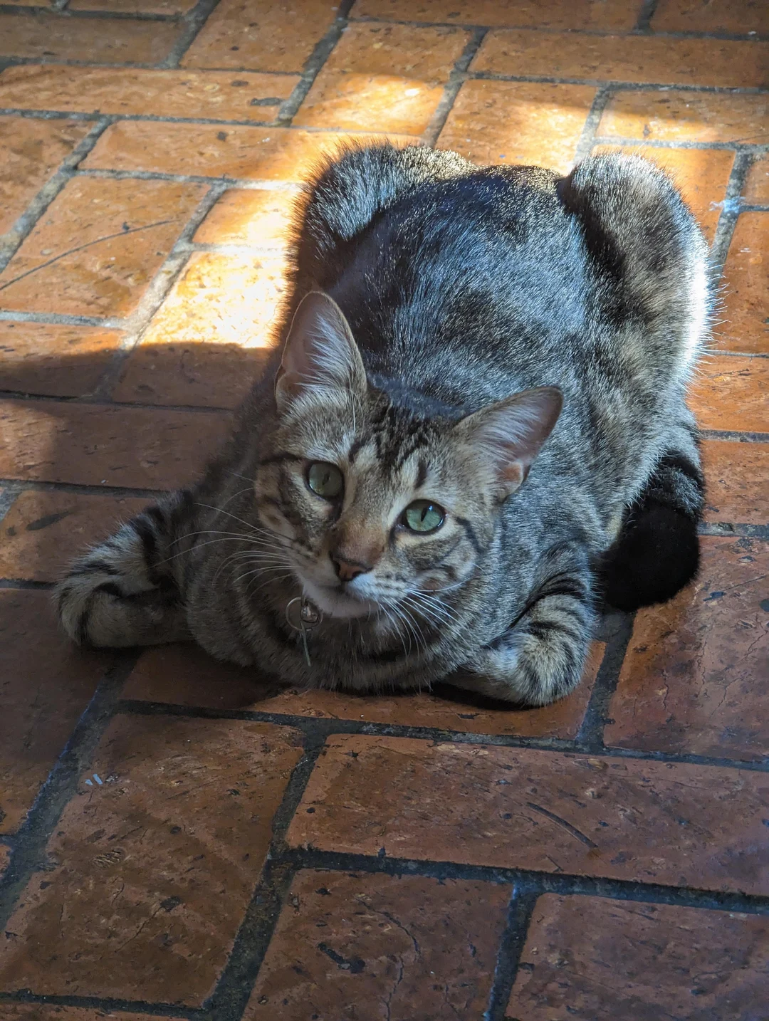 1/10 loaf. instructions unclear | Scrolller