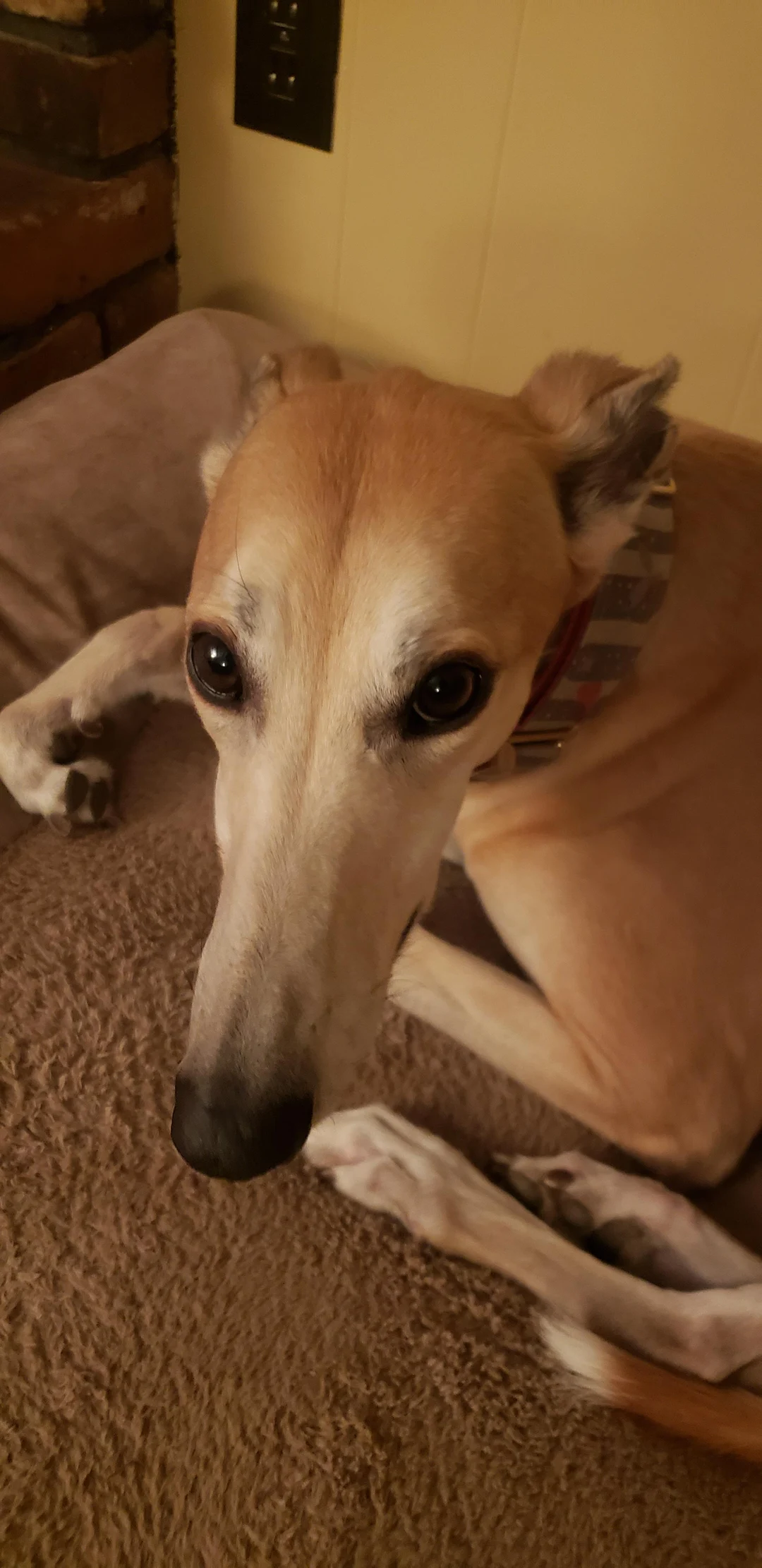 Retired and content. | Scrolller