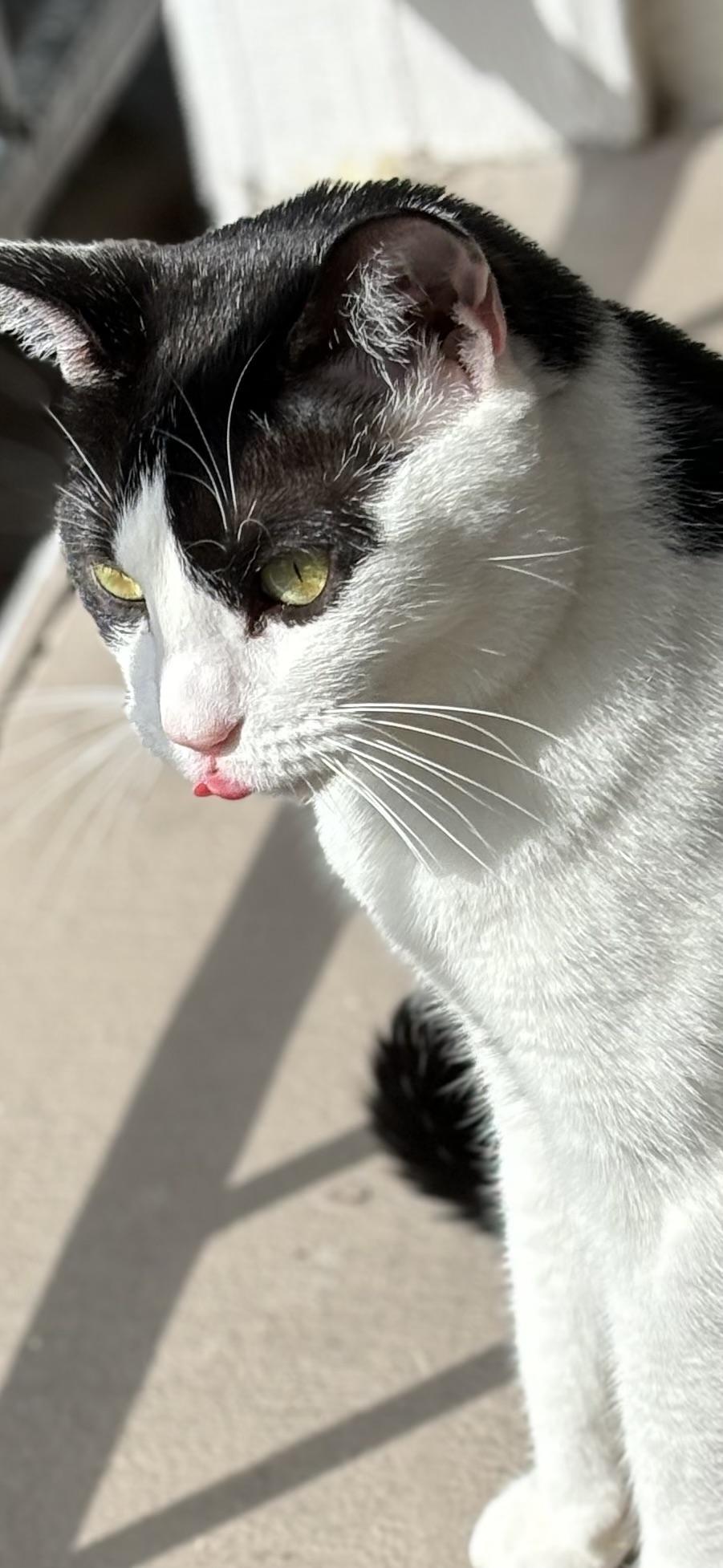 Outdoor blep | Scrolller