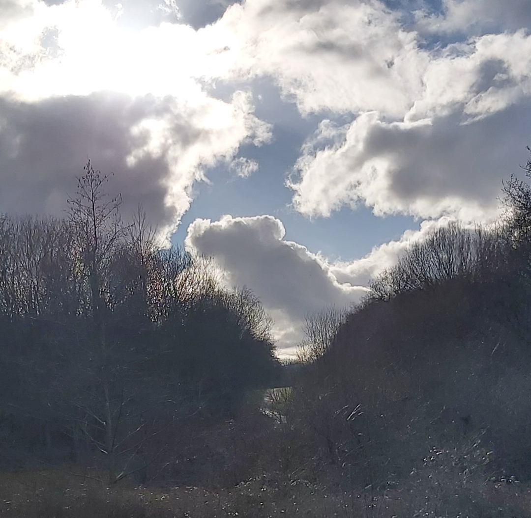 This Rat Shaped Cloud | Scrolller