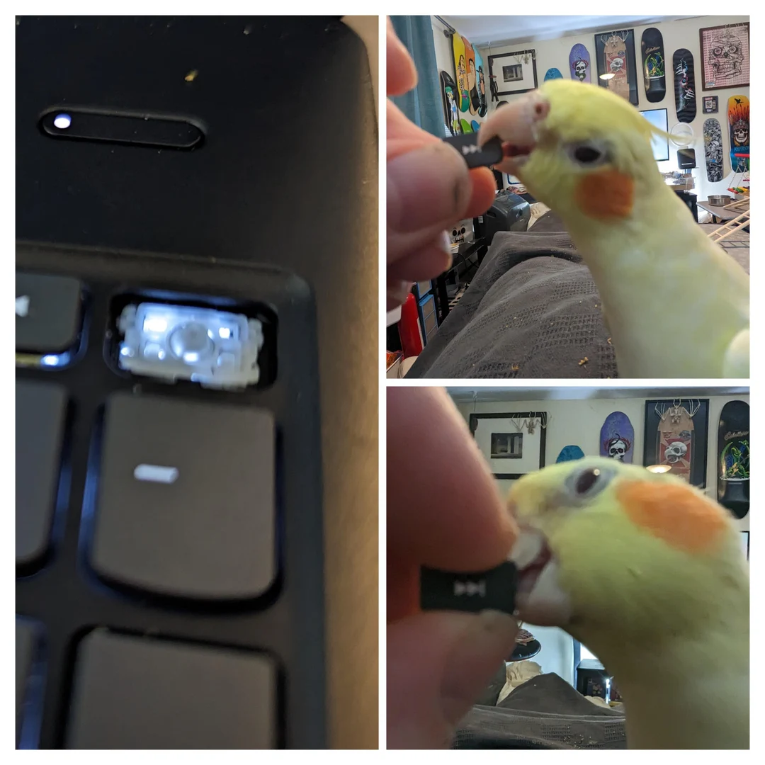 Kizzy collects her first keyboard trophy | Scrolller