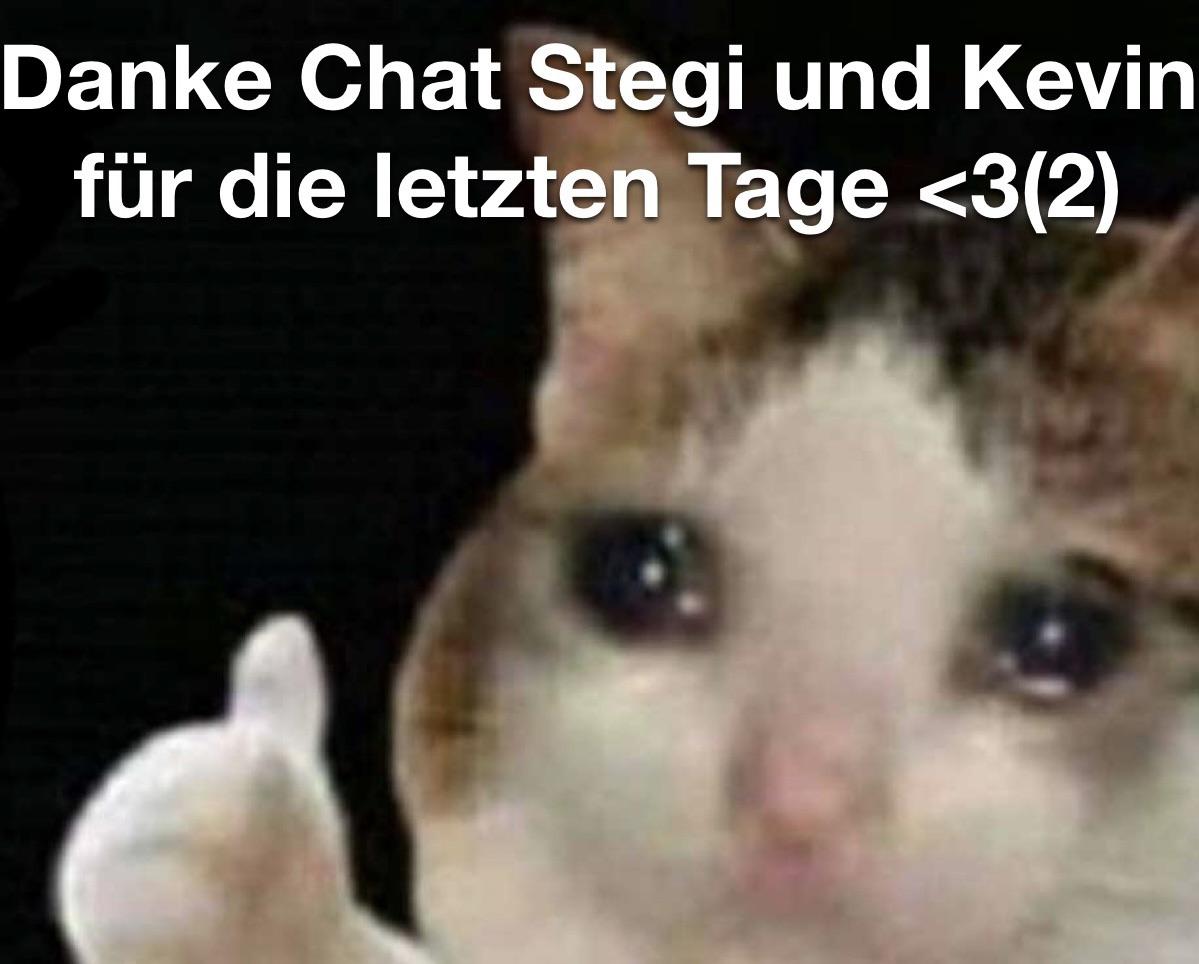 Danke Chat | Scrolller