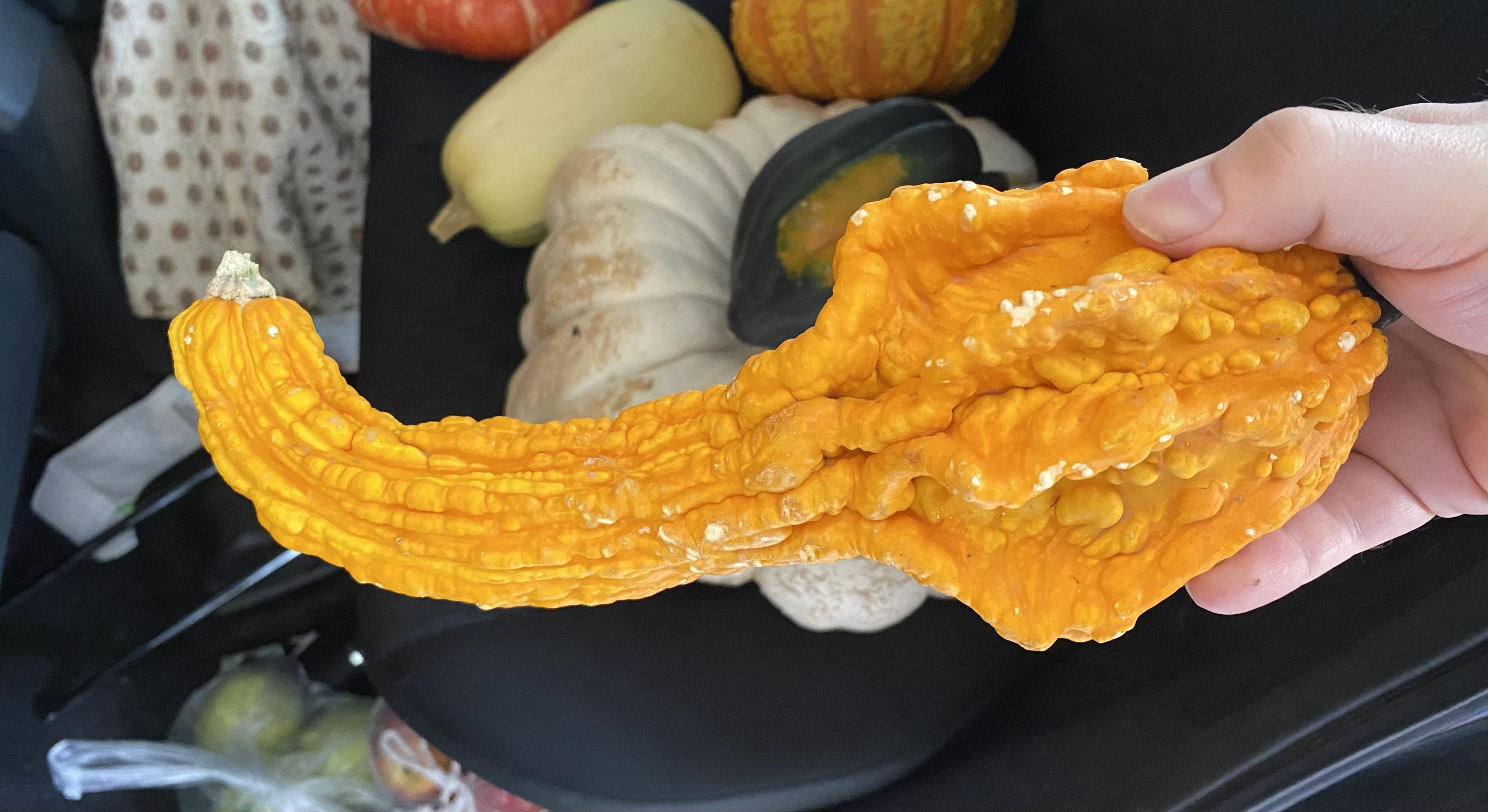 Discover more like Mildlypenis: Something about this squash just stood out to me and Related ...