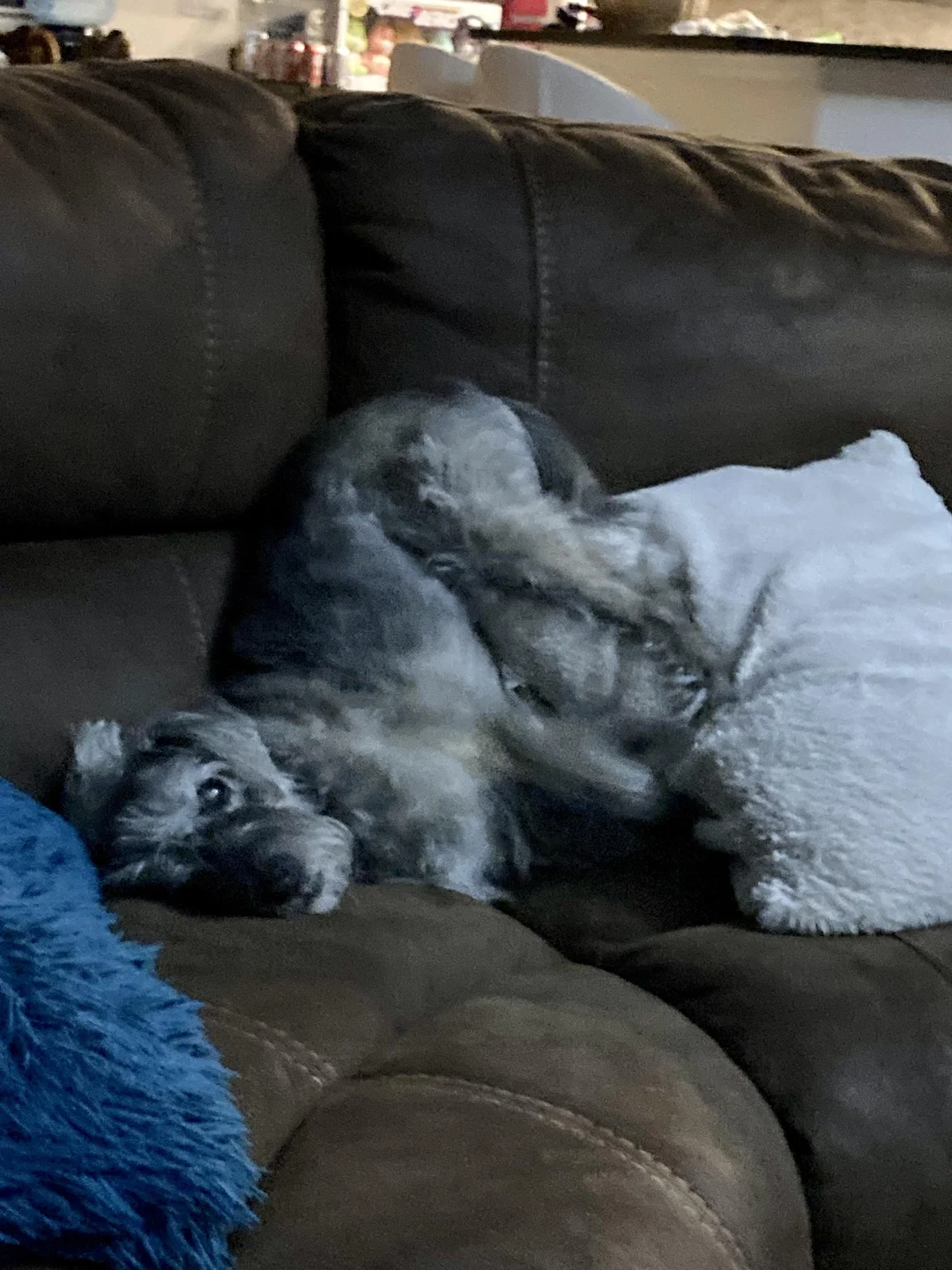 What Its Totally Comfortable Scrolller