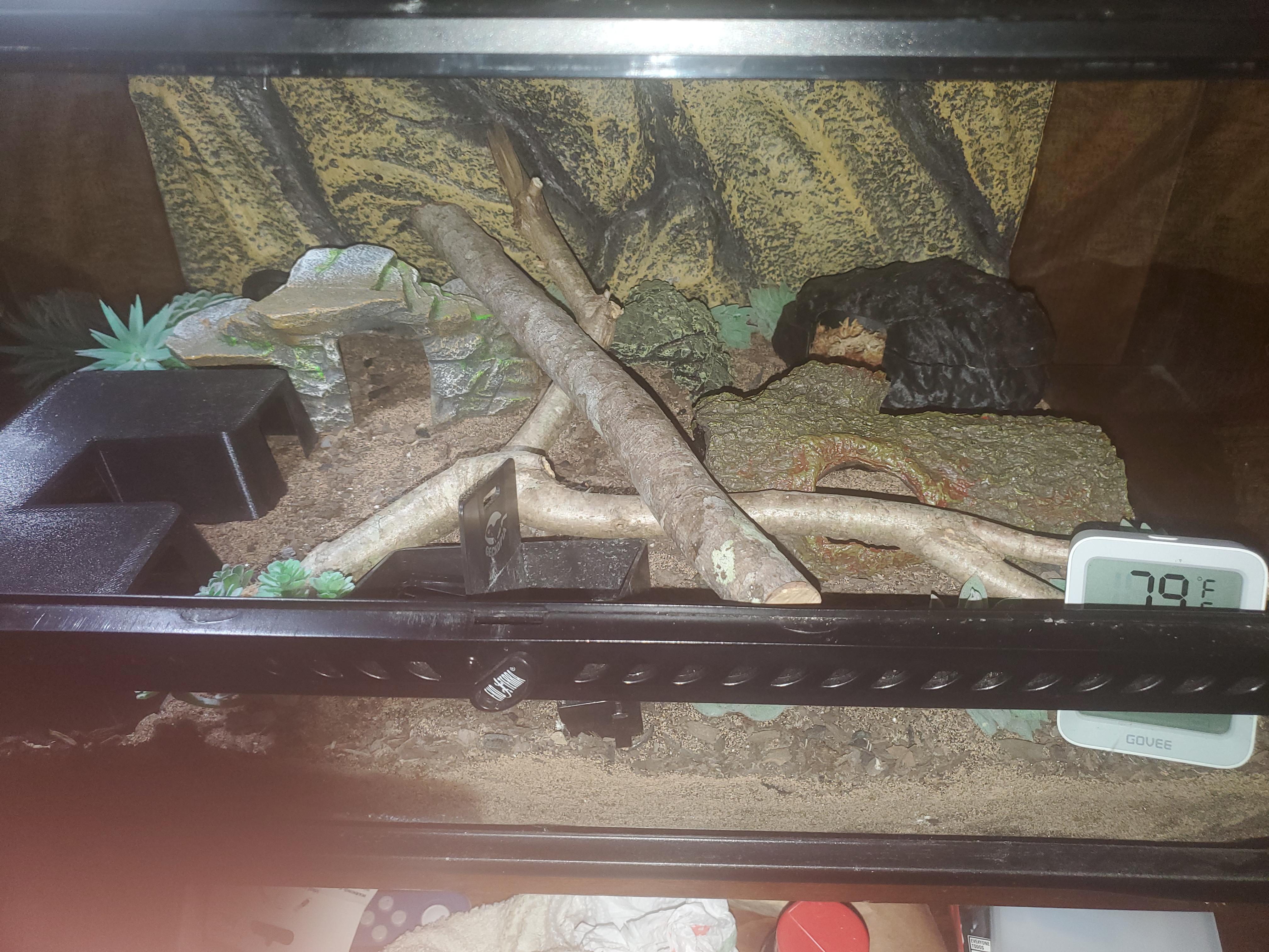 final tank update | Scrolller