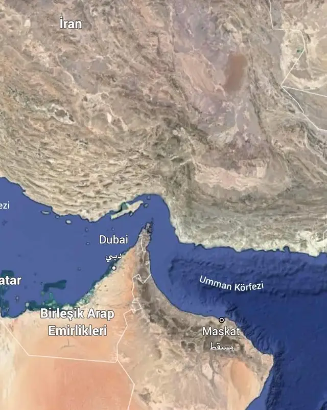 Dat curve , dat coast | Scrolller