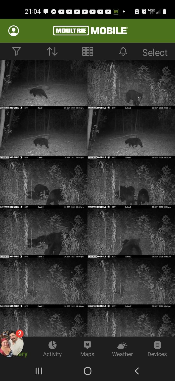 Bear hunting | Scrolller