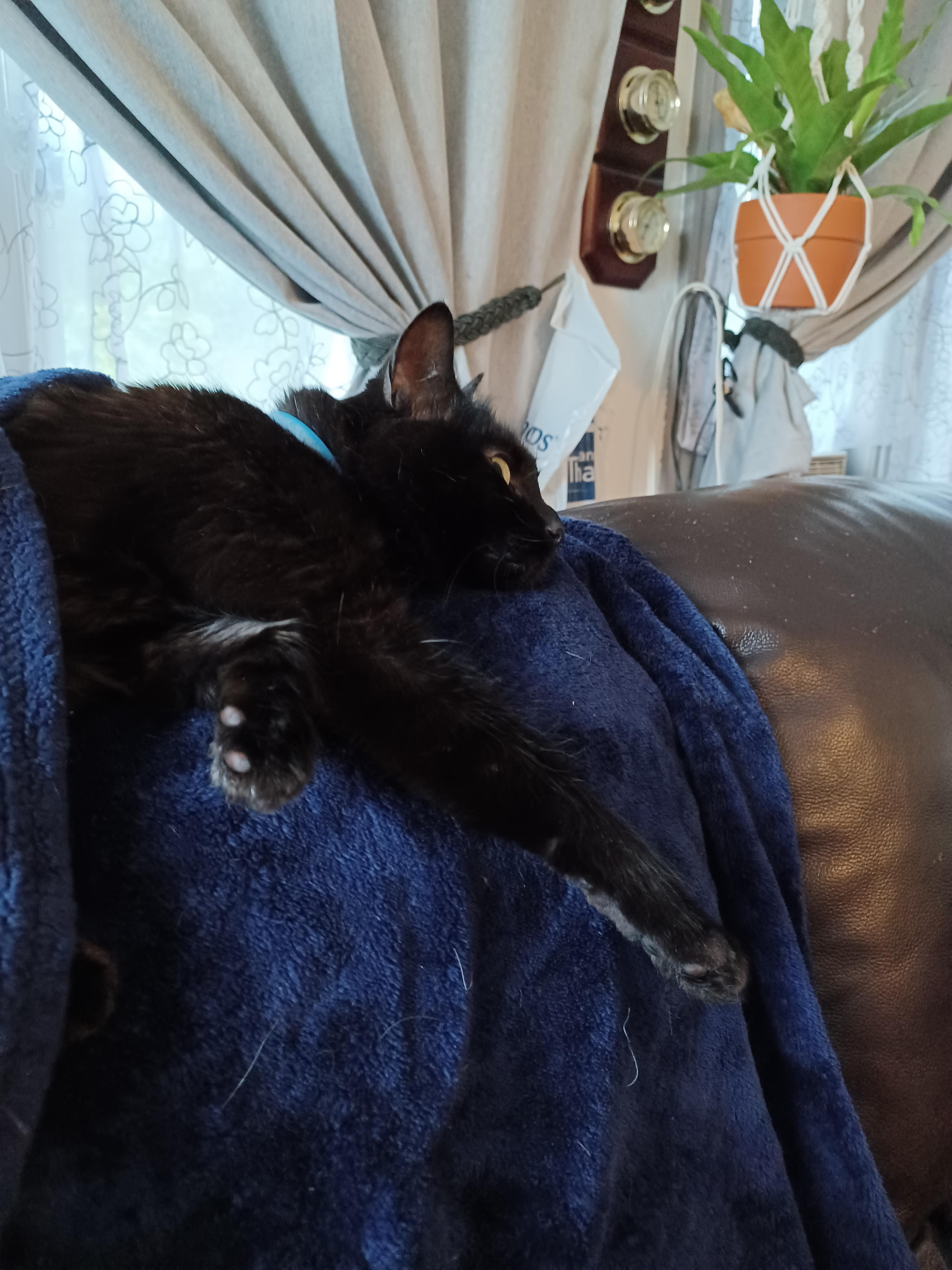 Void beanzzzz | Scrolller