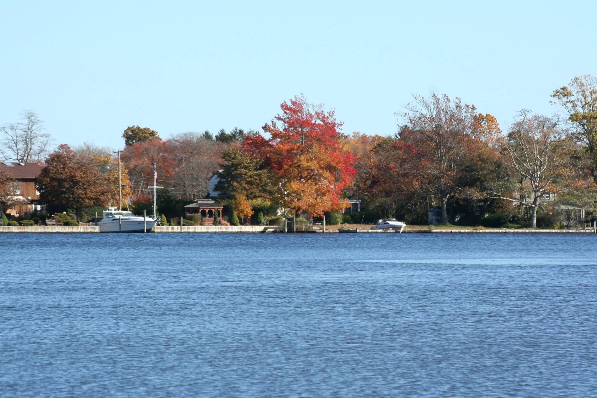 Some Fall Shots | Scrolller