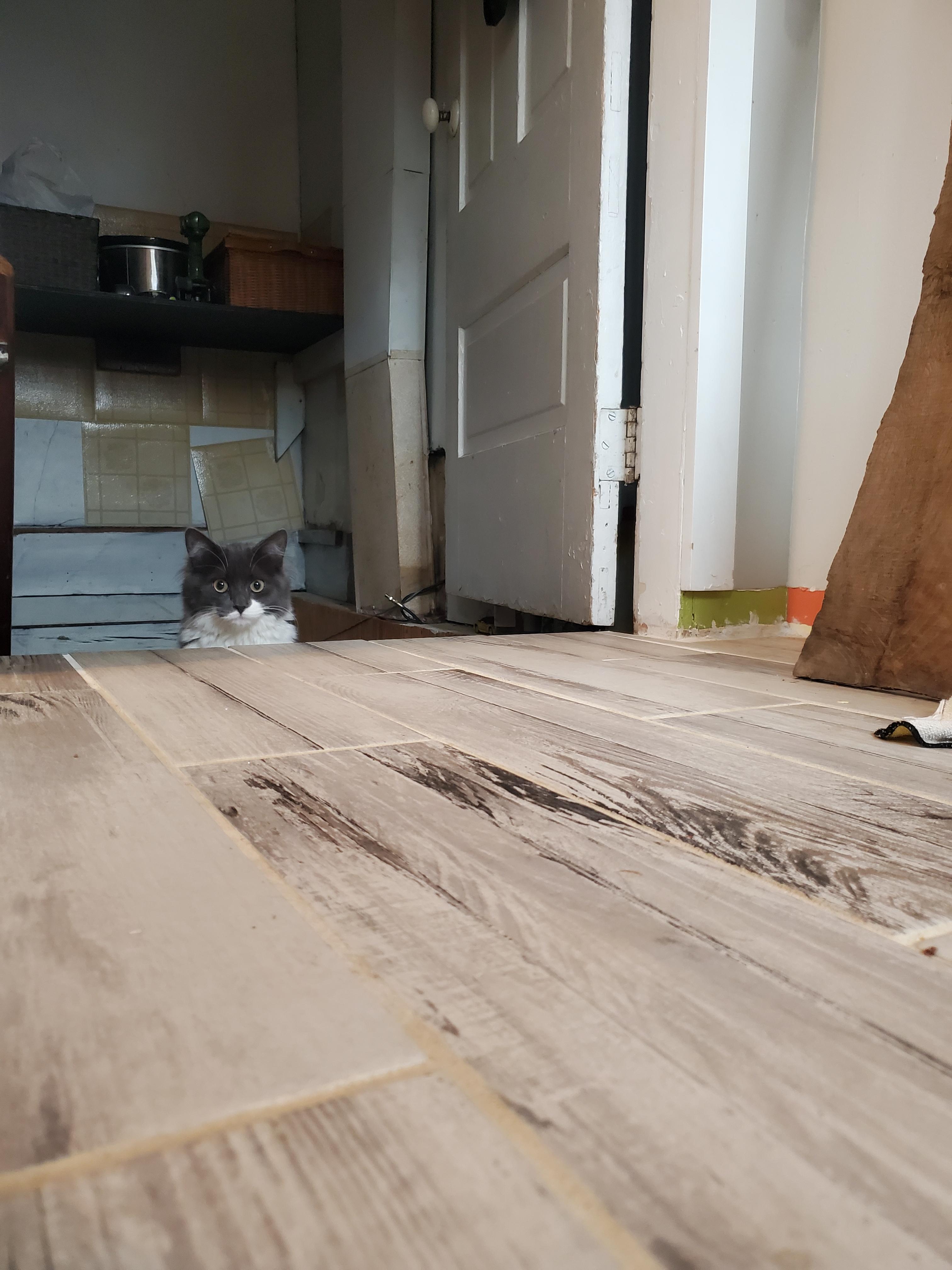 Donna is in the basement | Scrolller