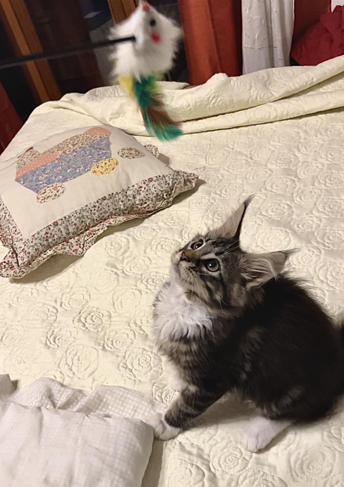 A new arrival in the family: Lilibeth the sweety! | Scrolller