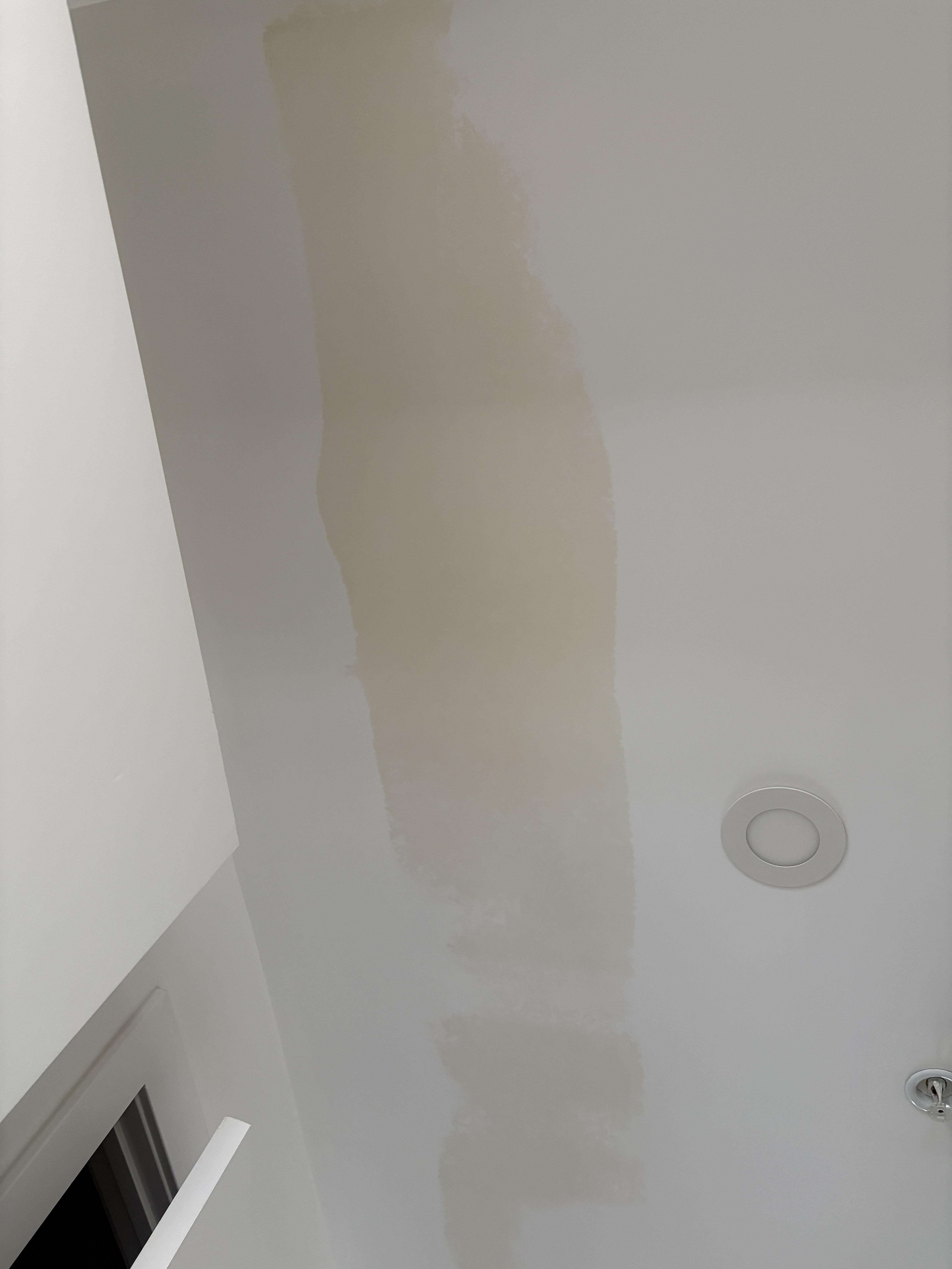 Is this water damage? | Scrolller