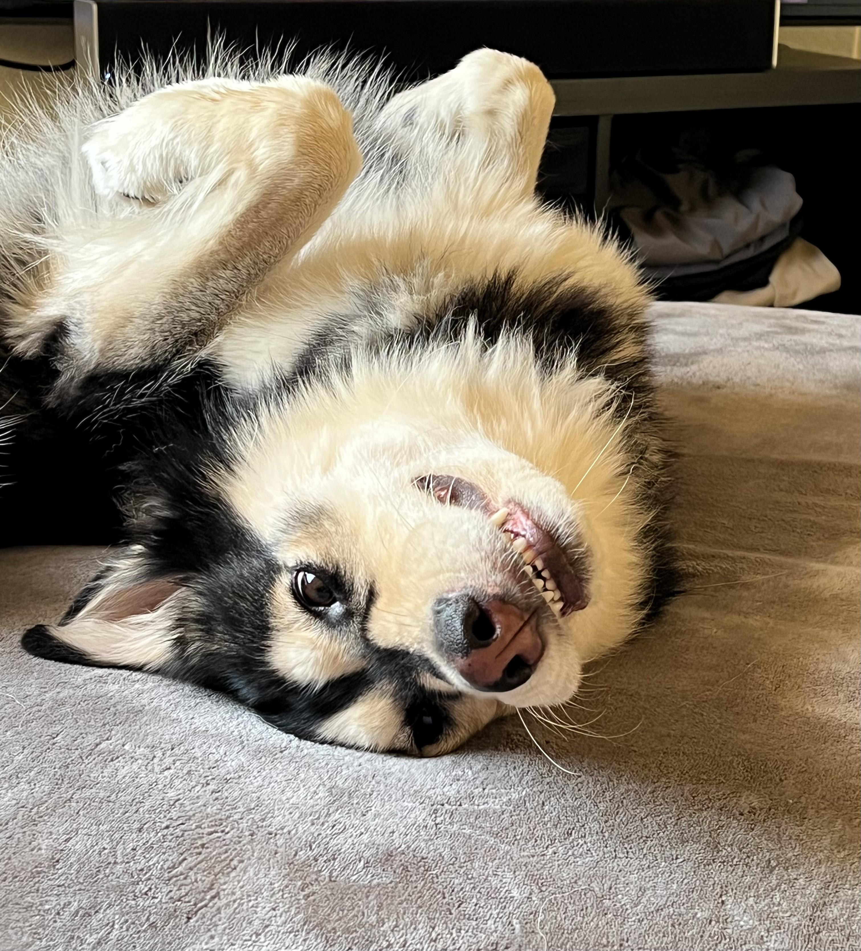 She stayed still long enough to get some goofy pictures. | Scrolller