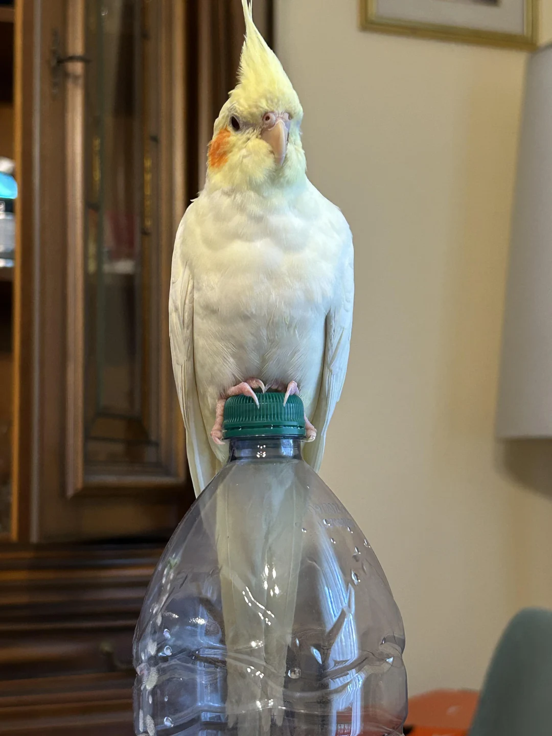 There is something strange on my water bottle… | Scrolller