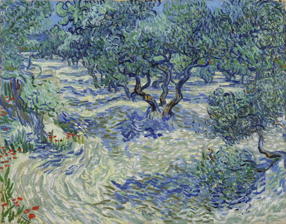 Olive Trees, Oil on Canvas, Vincent van Gogh, 1889. | Scrolller