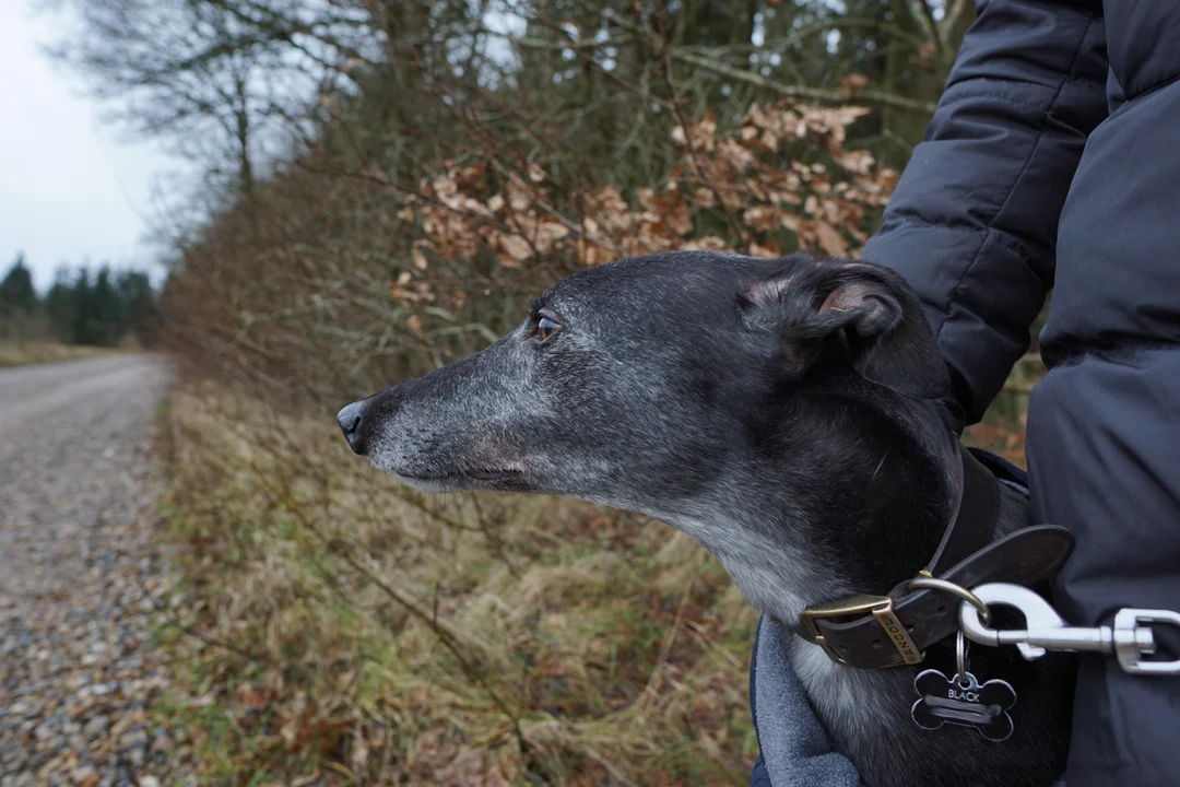 Wide open fields get him staring | Scrolller