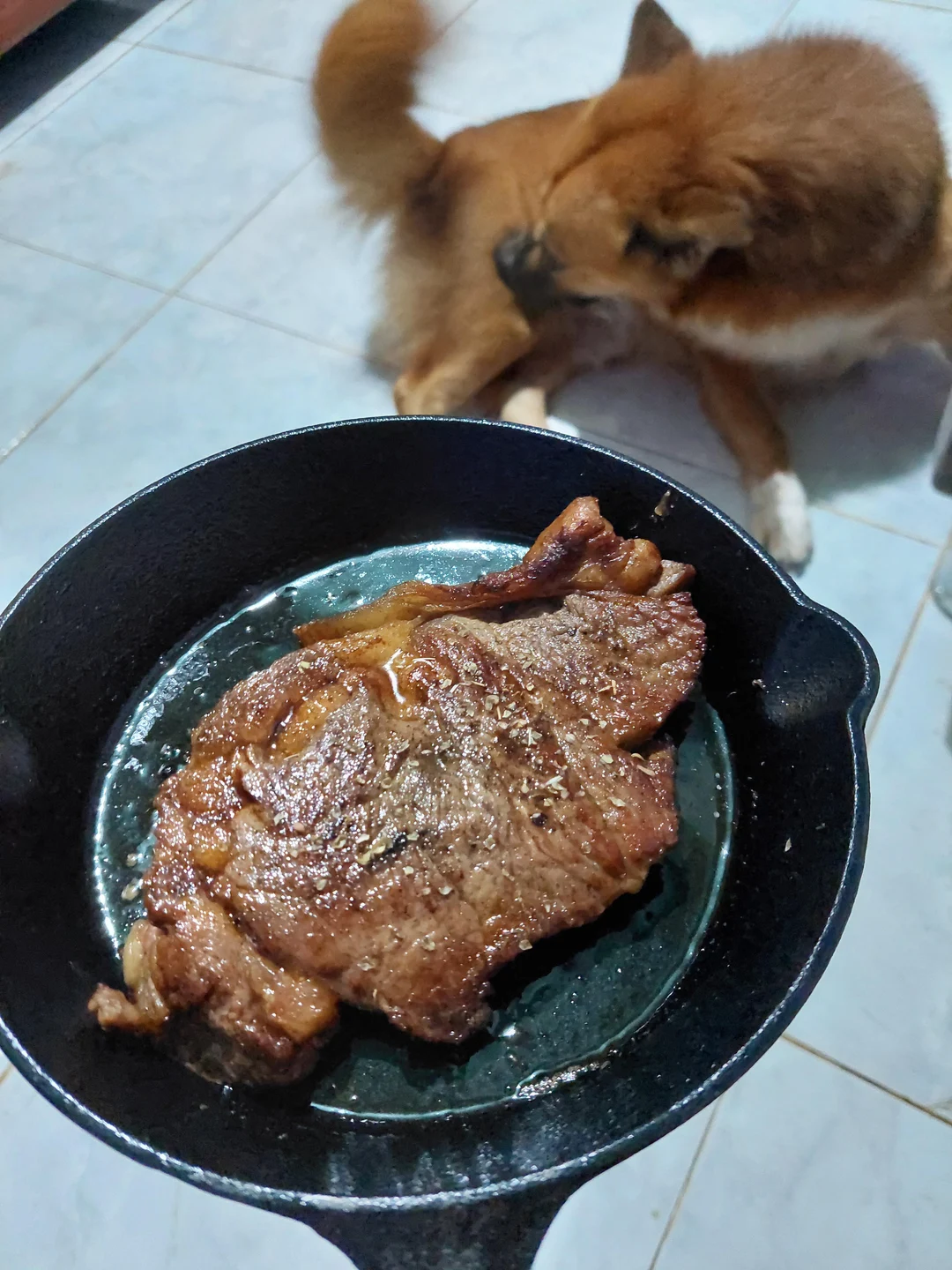 one of the best experience | Scrolller