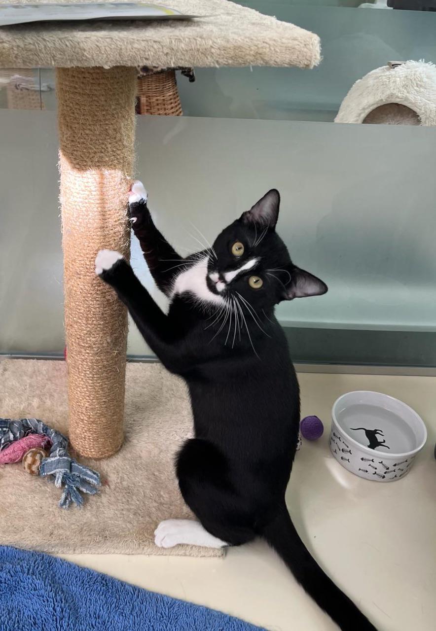 We just adopted this little boy! | Scrolller