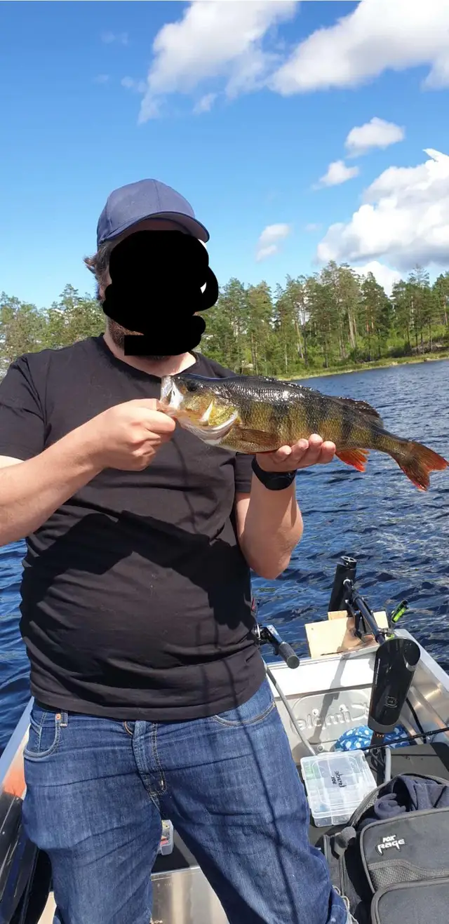 Today’s best catch perch 1kg 42cm. My friend took a 0.9kg 10 sec before me. | Scrolller