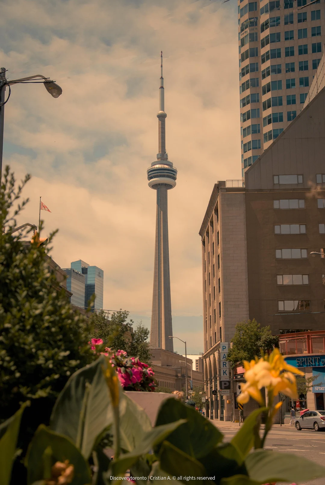 Toronto, Canada | Scrolller