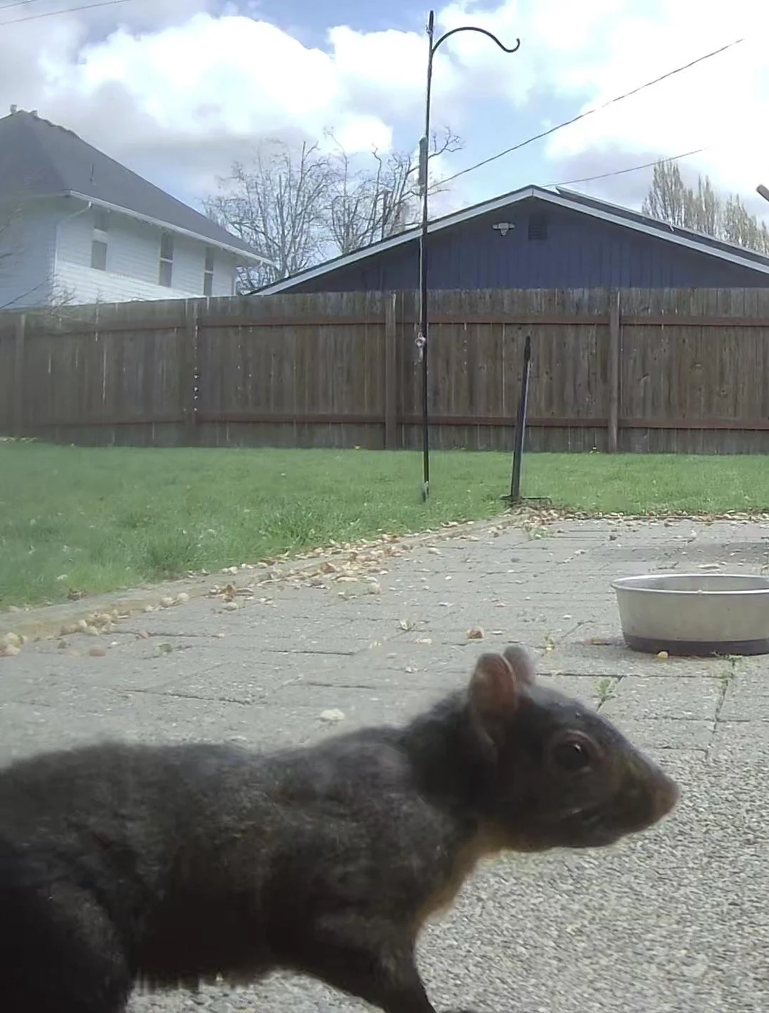 New visitor | Scrolller