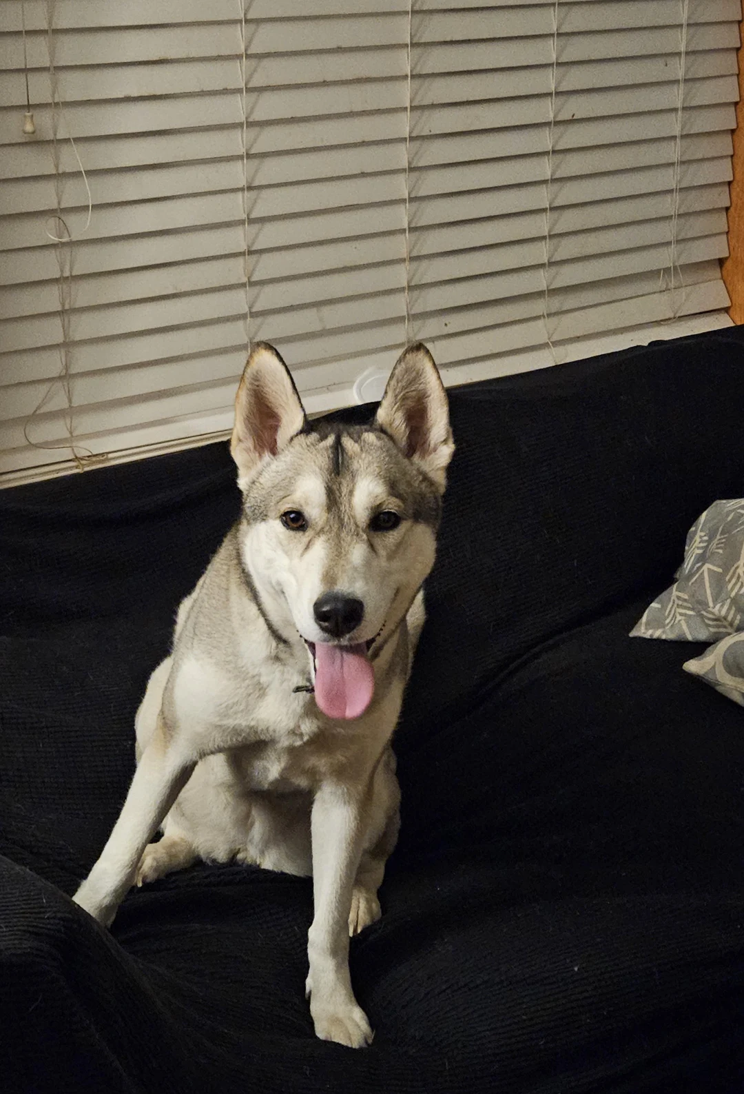 my 2 year old girl Storm | Scrolller