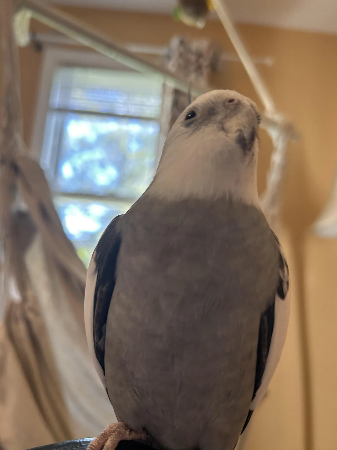 Creg is very handsome! | Scrolller