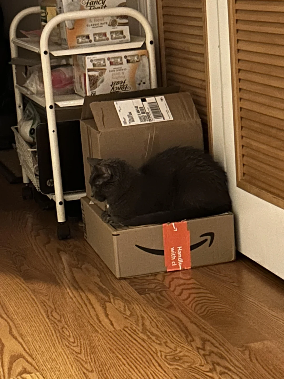 Finally. | Scrolller