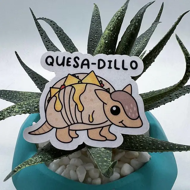 armadillo | Scrolller