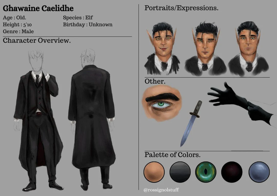 Ghawaine reference sheet, art by me | Scrolller