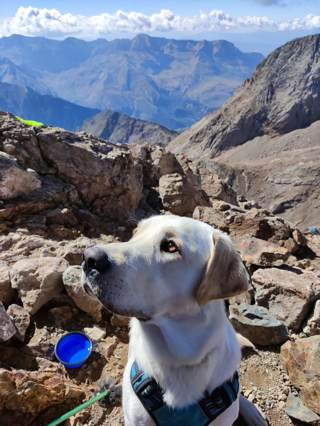 Luka hiked his first 3k!!! 🤩 | Scrolller