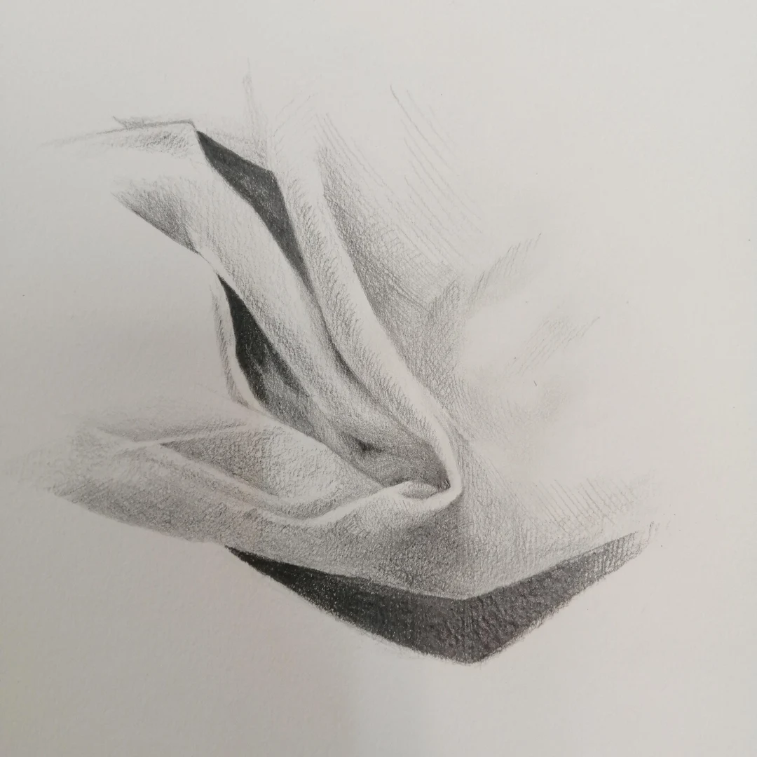 First detailed fabric study, tomato_joe, pencil, 2024 | Scrolller