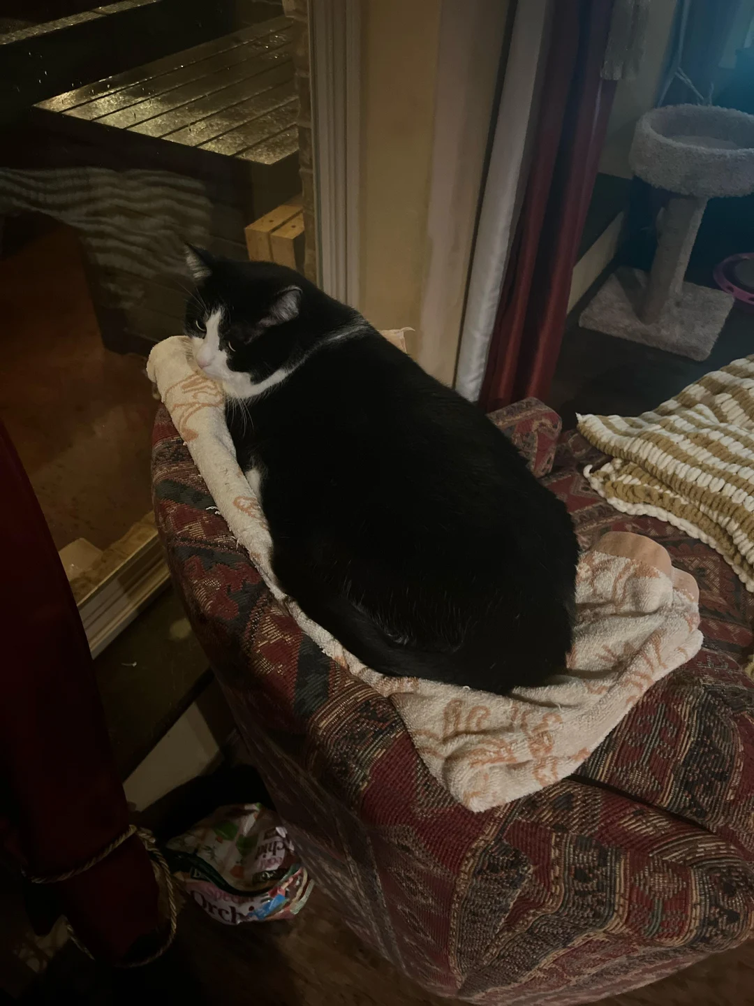 Tuxedo Loaf | Scrolller
