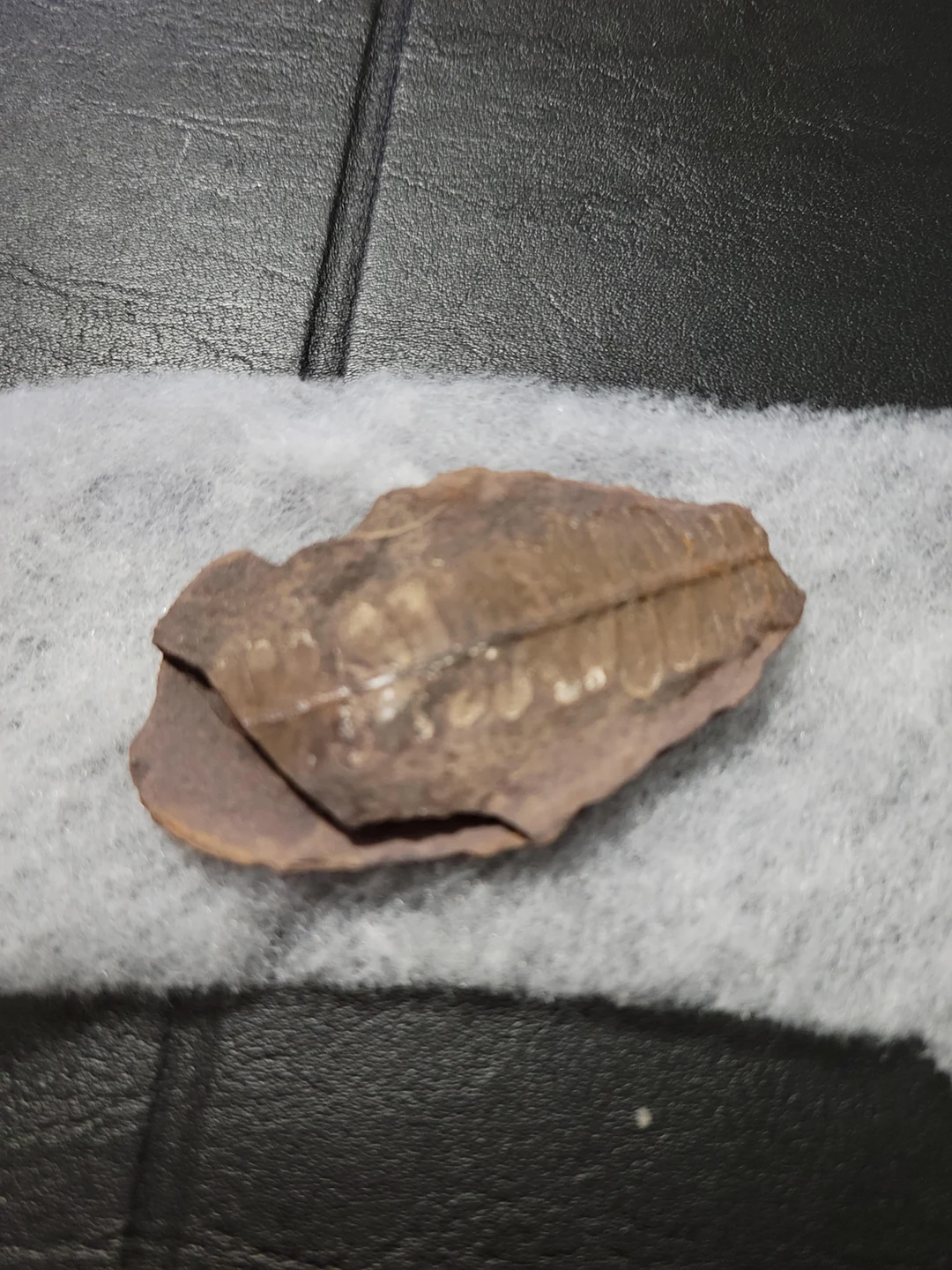 Happy Accidental | Scrolller