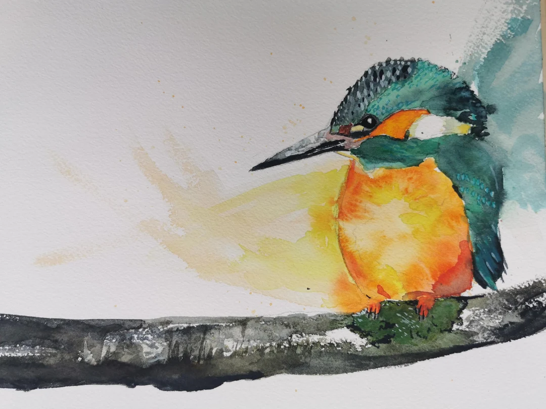 Kingfisher, watercolour, me, 2022 | Scrolller