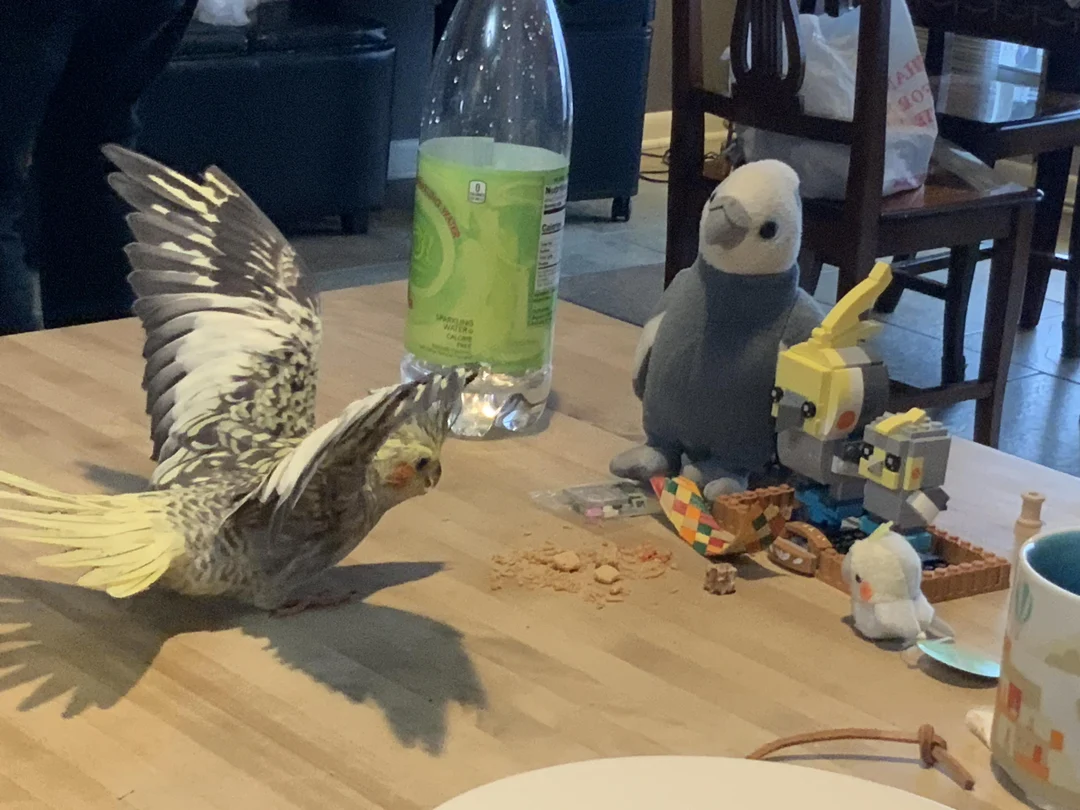 Imposters! | Scrolller