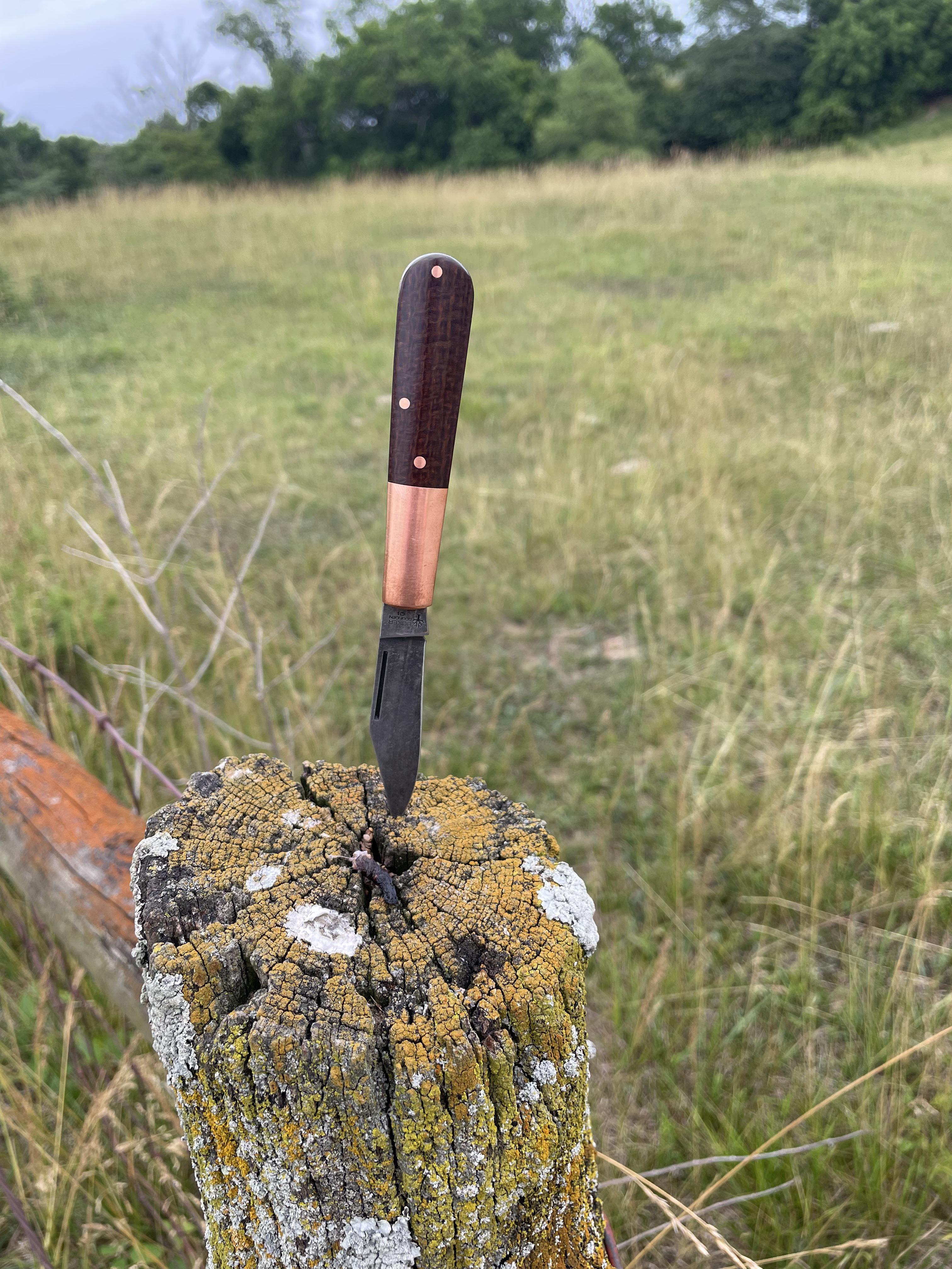 Walk on the farm. | Scrolller