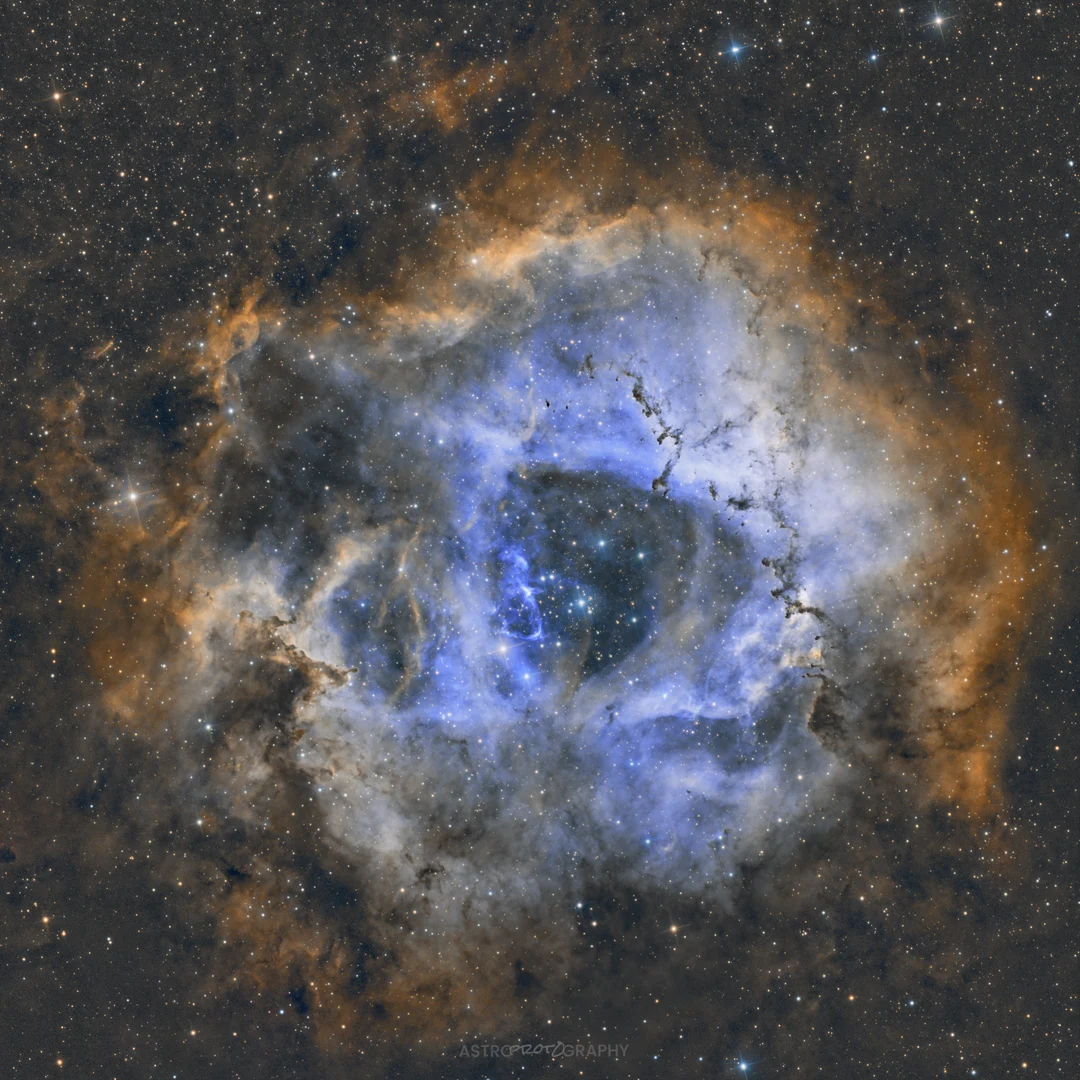 NGC2237 - Rosette Nebula | Scrolller