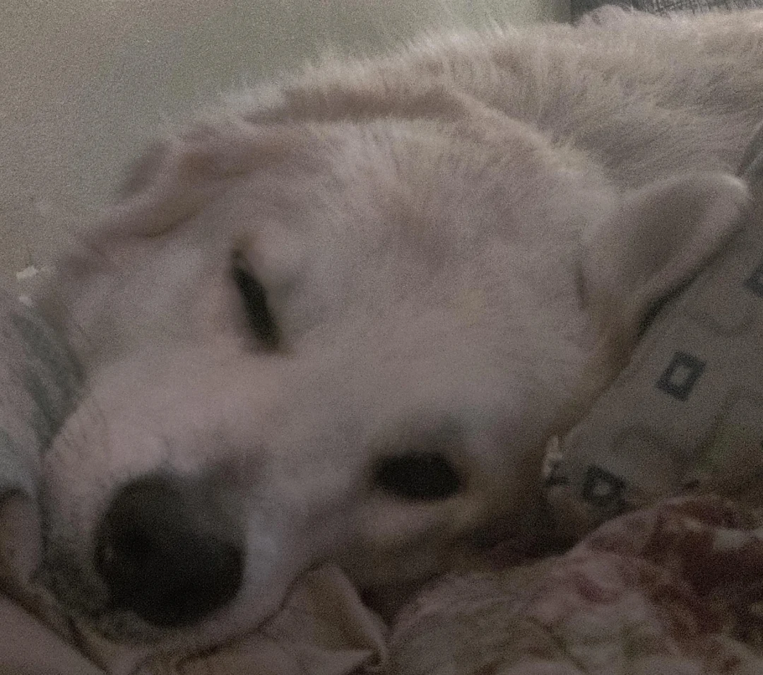 finally got a picture of his winking | Scrolller