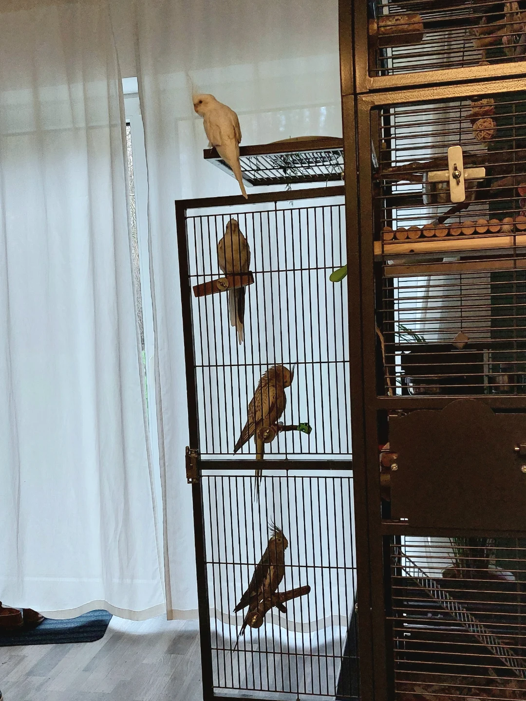 Caught in perfect alignment | Scrolller