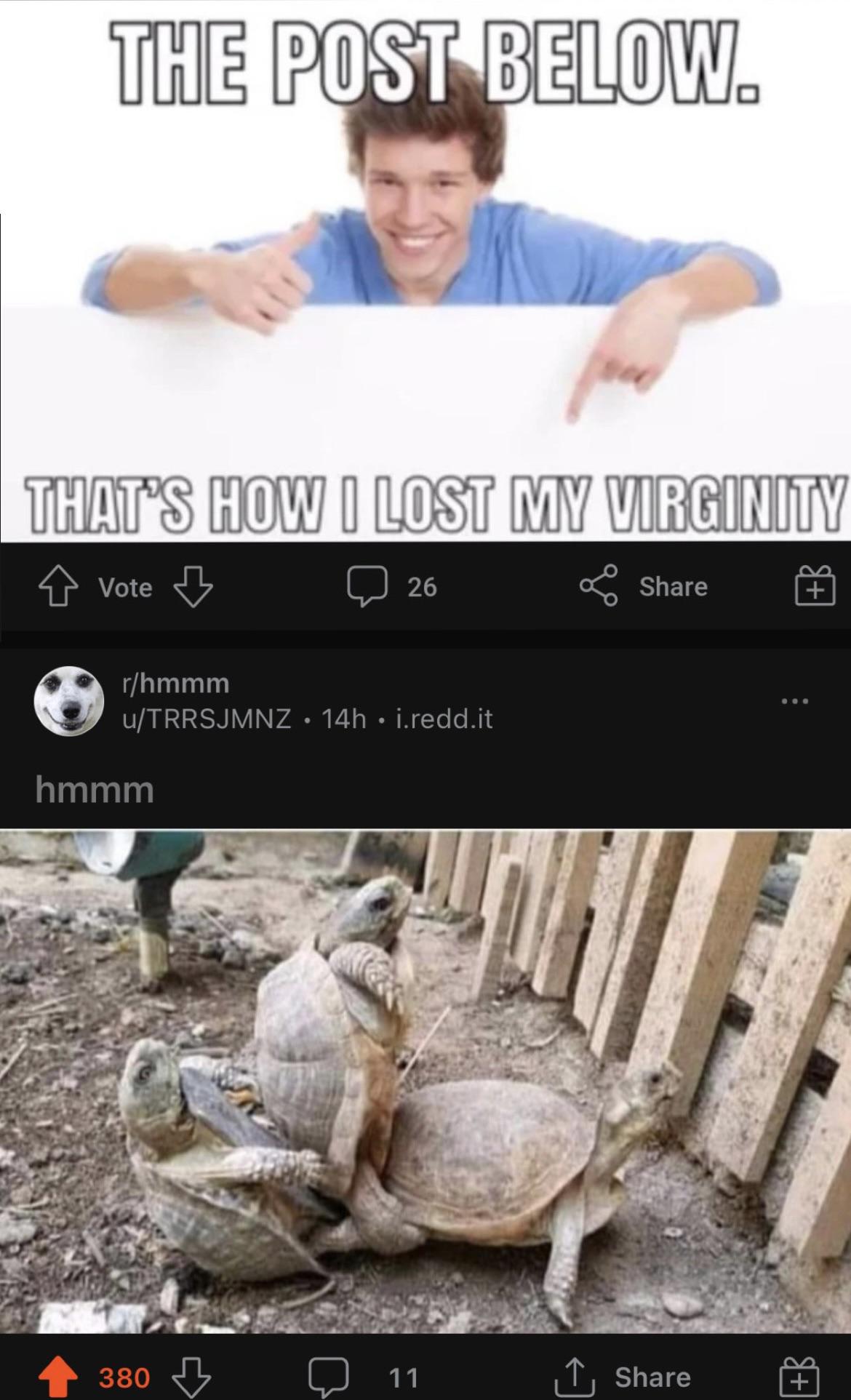 Looks pretty realistic | Scrolller