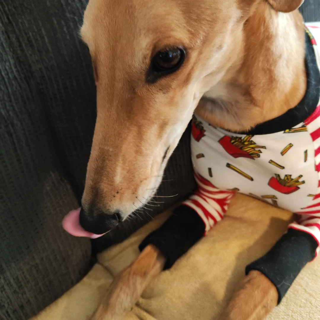 little blep | Scrolller