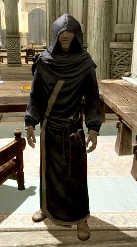 The most annoying NPC in Skyrim | Scrolller