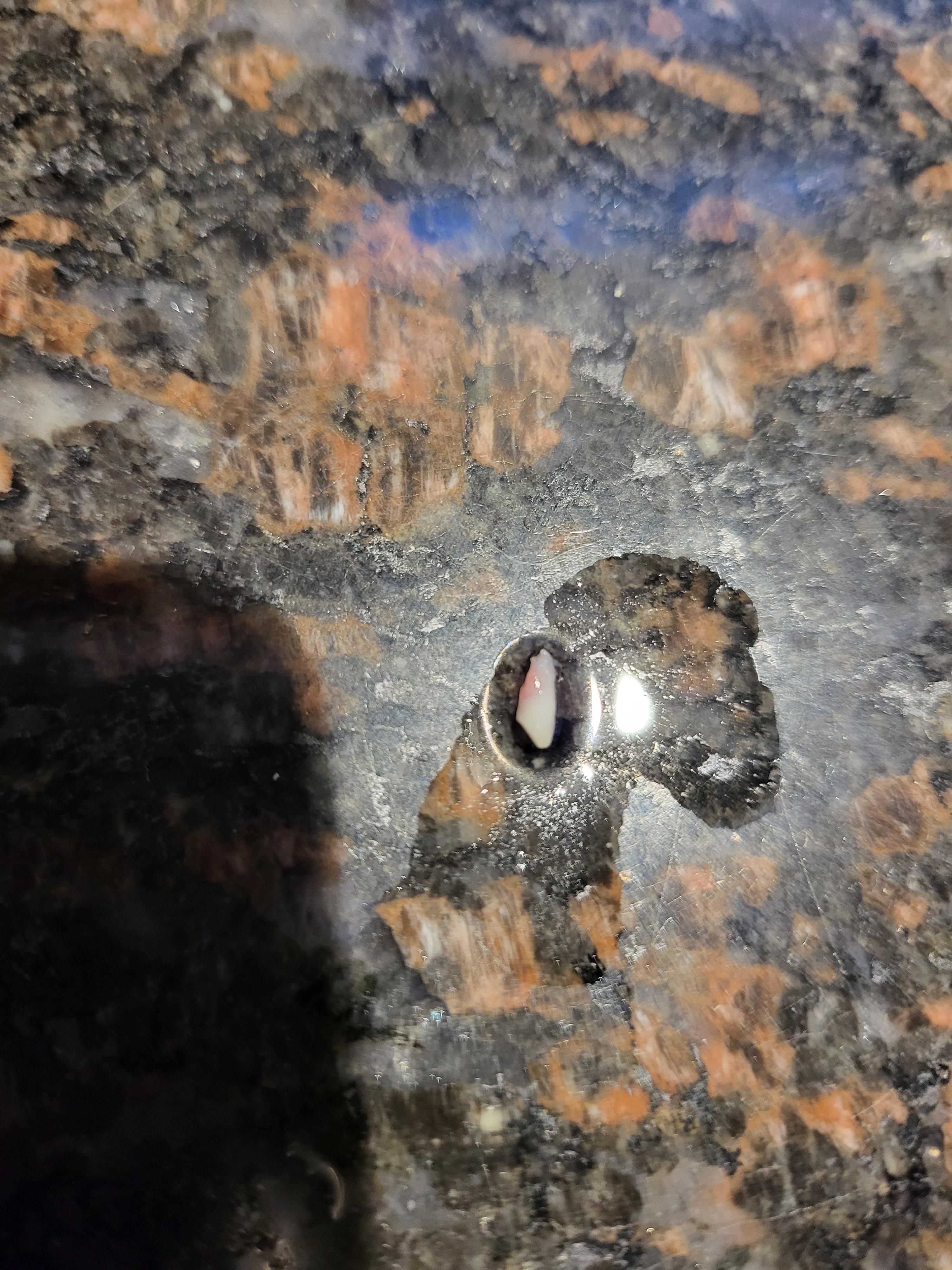 NOO TOO SOON!!! | Scrolller