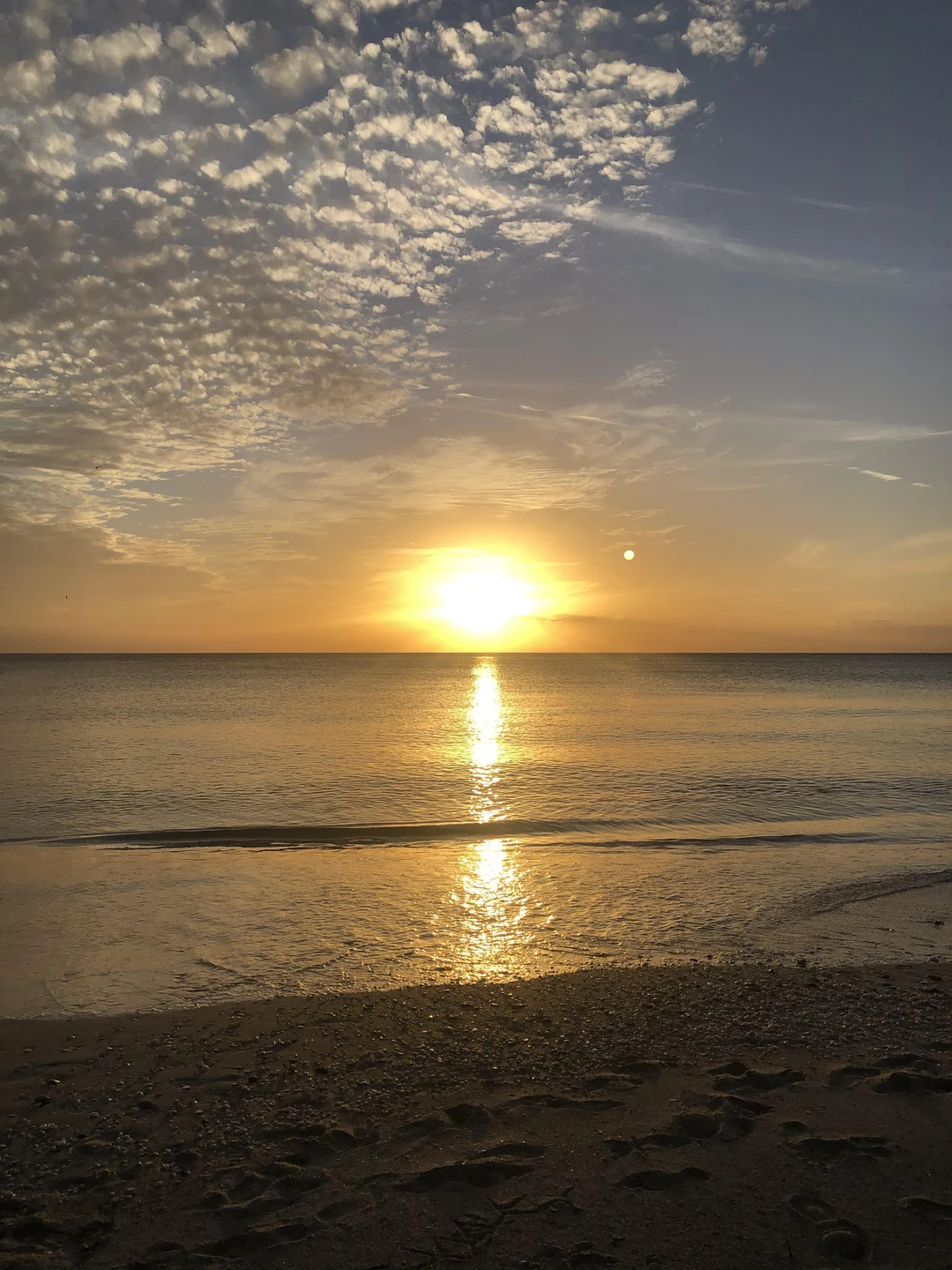 SW Florida | Scrolller