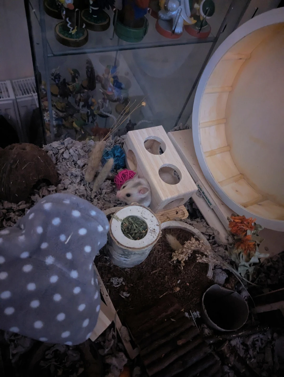 He fit, he sit | Scrolller