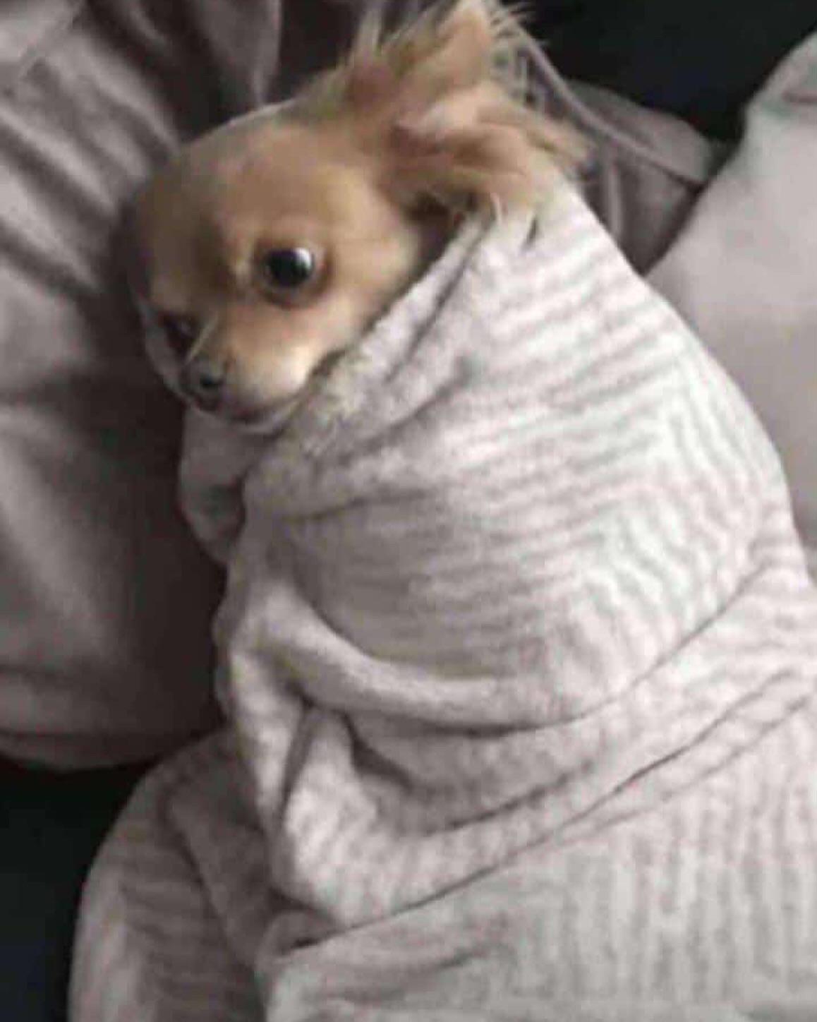 Any tips on how to use a strap? | Scrolller